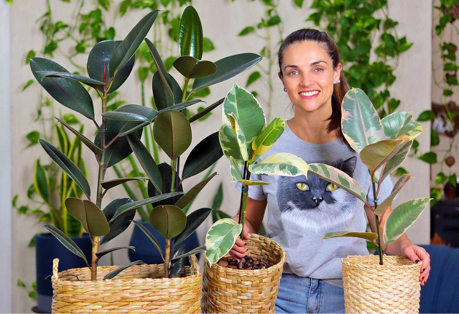 Mania de Flor